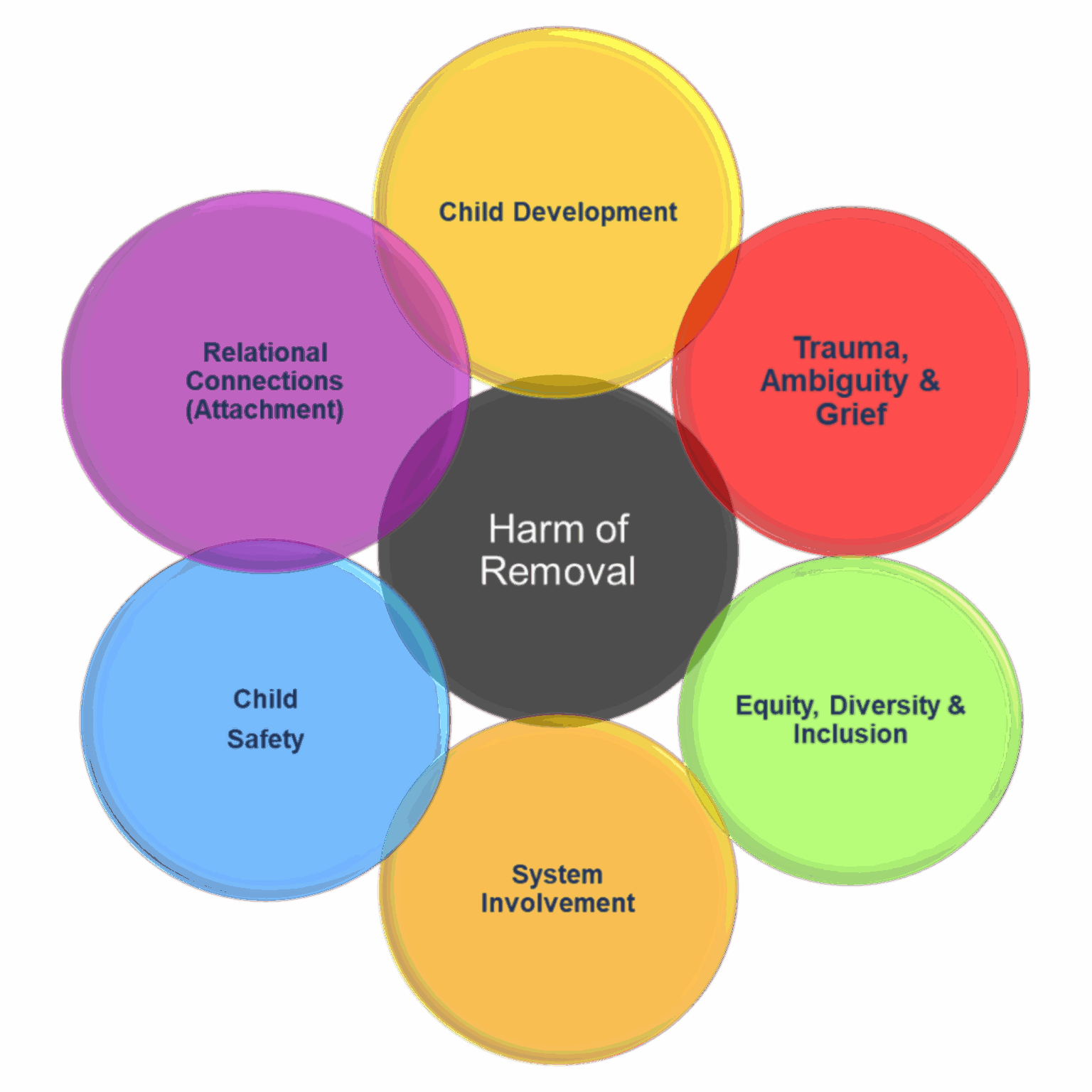 Harm of Removal - Family and Youth Justice Programs